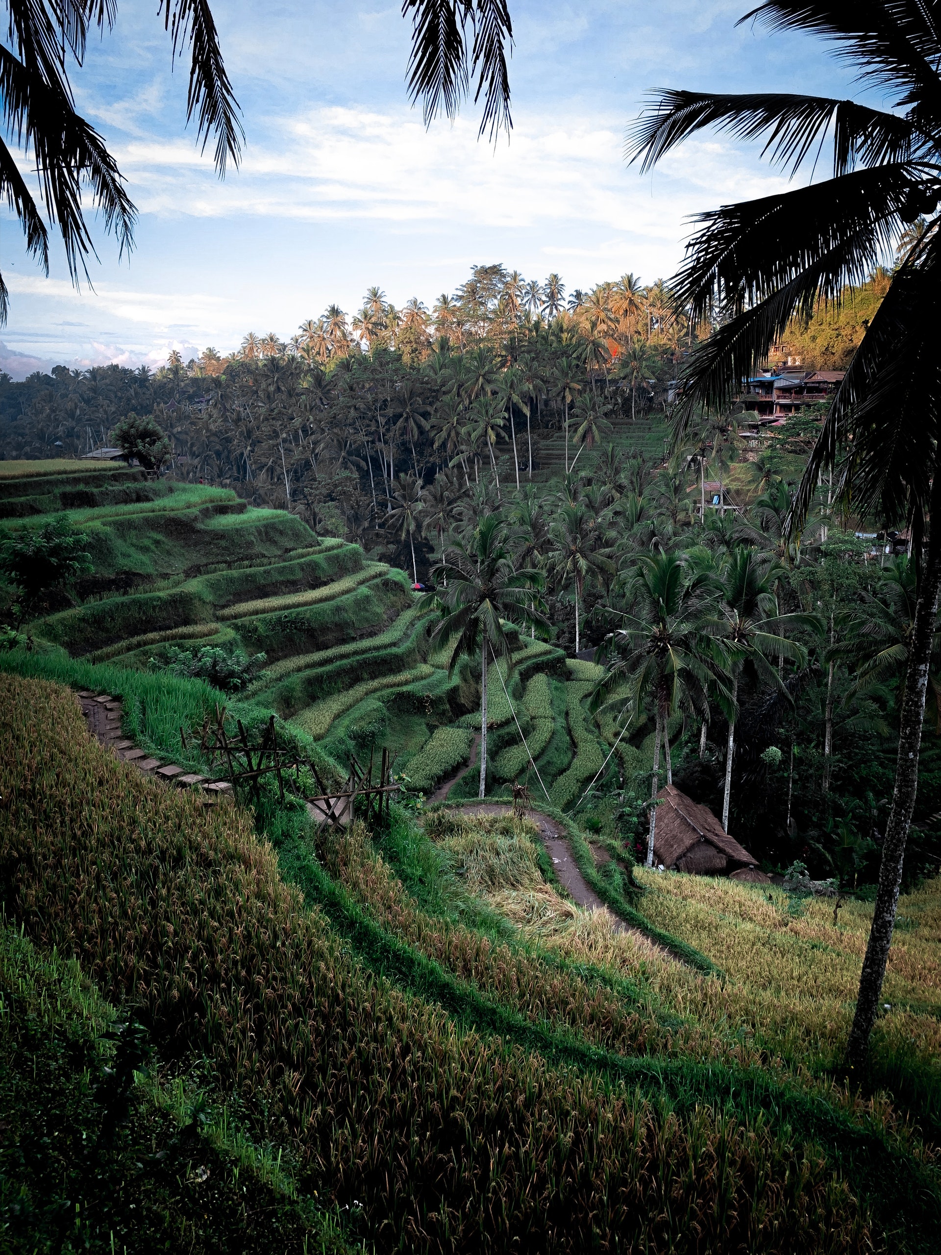 Java Tour Travel – Bali Unique Tour